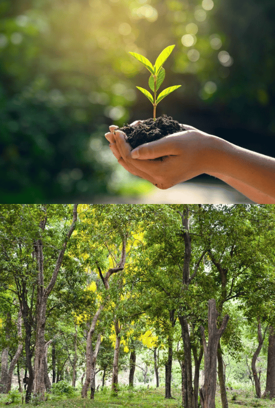 Green Planet | Aarohan Charitable Trust
